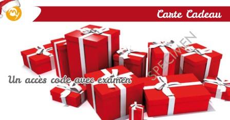 Cadeau de Noël : Offrez le code de la route - My Easy Code